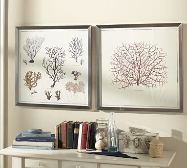 Framed Coral Prints | Pottery Barn