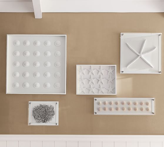 Pink Sea Urchin Glass Shadow Box | Pottery Barn