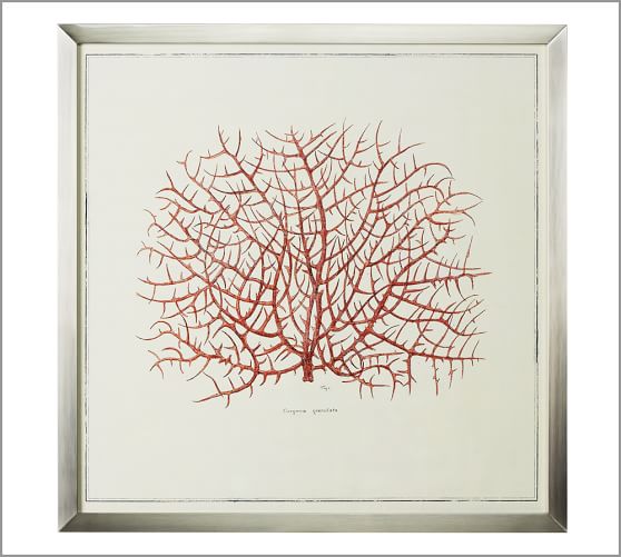 Framed Coral Prints | Pottery Barn