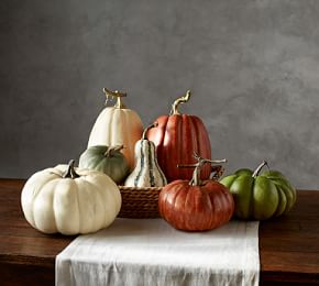 Harvest Pumpkin Salad Plates, Set of 4 | Pottery Barn