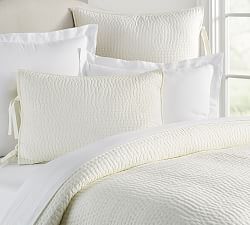 Quilts & Coverlets | Pottery Barn