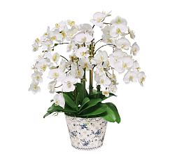 Mini Faux Potted Orchid | Pottery Barn