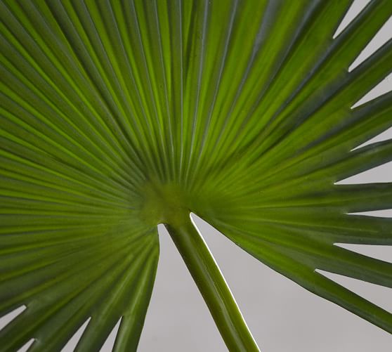 Palmetto Palm Branch | Artificial Flowers | Pottery Barn